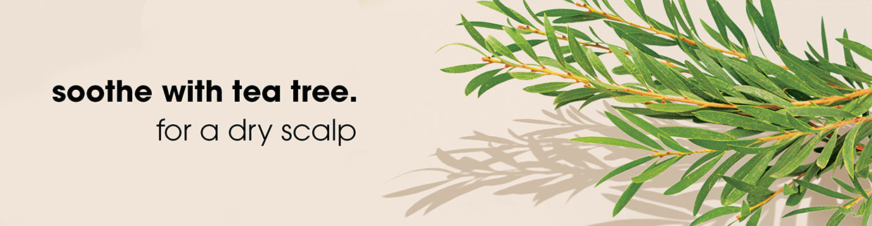tea tree | scalp relief – Yes To